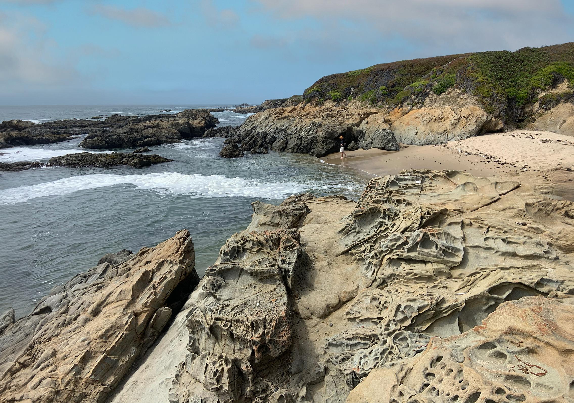 Tafoni and Tidepools – Coastside State Parks Association