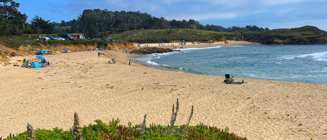Bean Hollow State Beach | Coastside State Parks Association